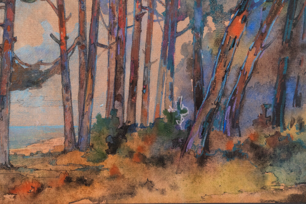 Roman Nyman "Rannamaastik mändidega" Rannamaastik mändidega